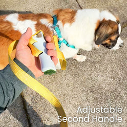 Quick-Control Dog Leash – Pacific North Pets