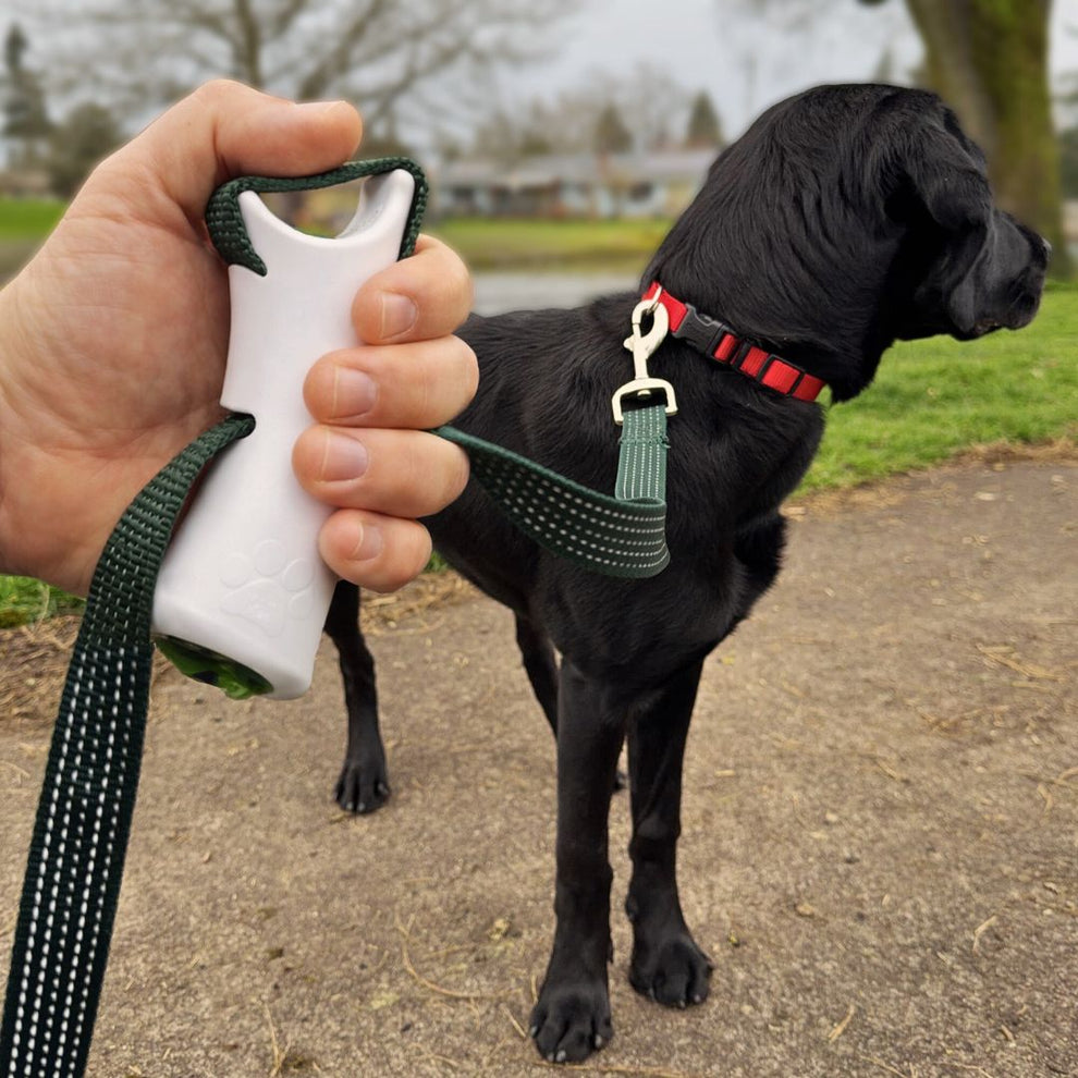 Quick-Control™ Dog Leash with Adjustable Second Grip – Pacific North Pets